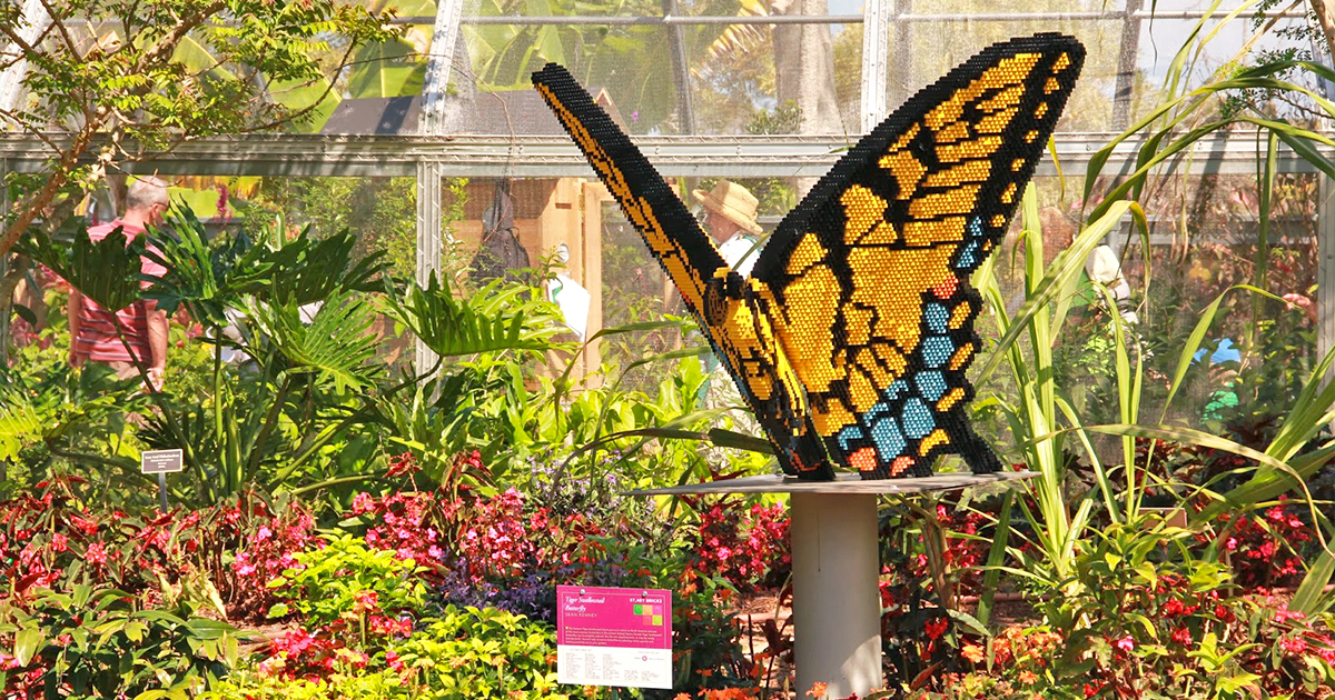 intimate butterfly house florida ftr