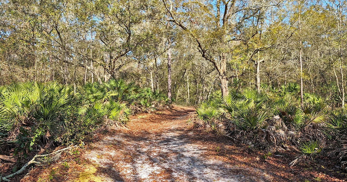 tranquil nature preserve florida ftr