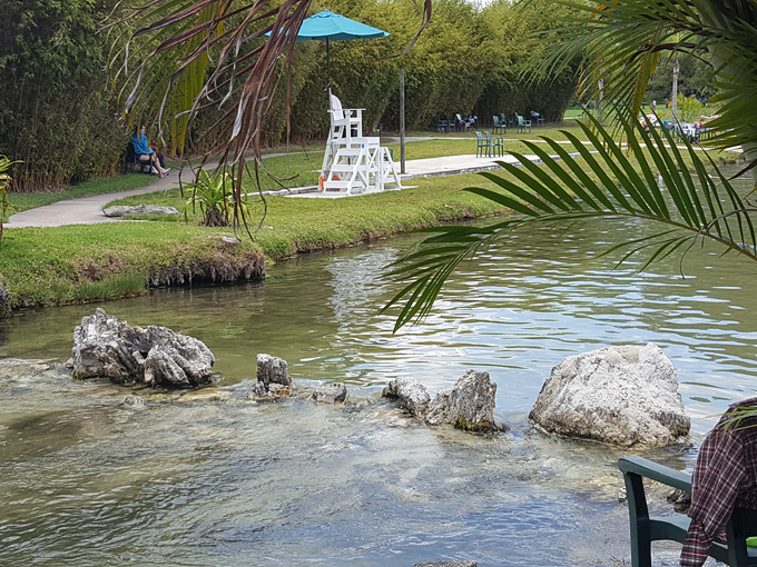 warm mineral springs 1
