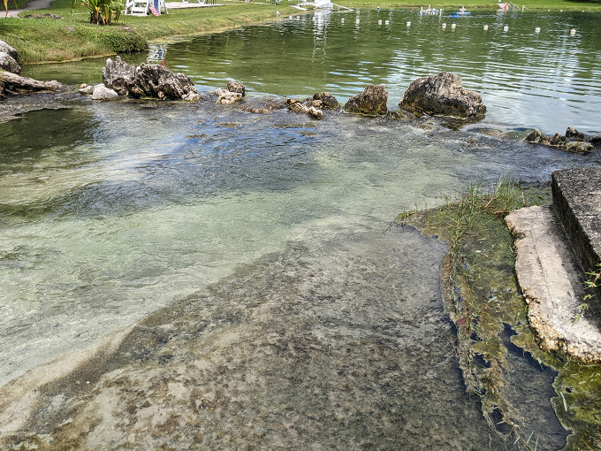 warm mineral springs 5