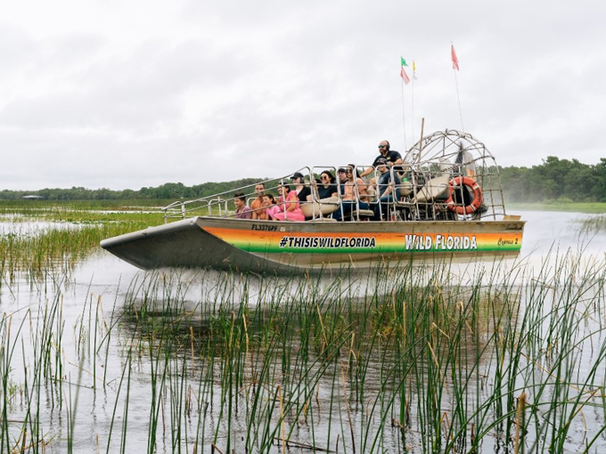 wild florida airboats gator park 3