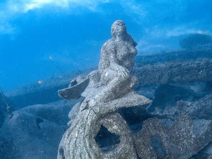 1000 mermaids artificial reef 2