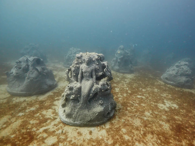 1000 mermaids artificial reef 7