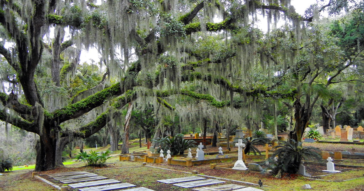 18th century cemetery florida ftr