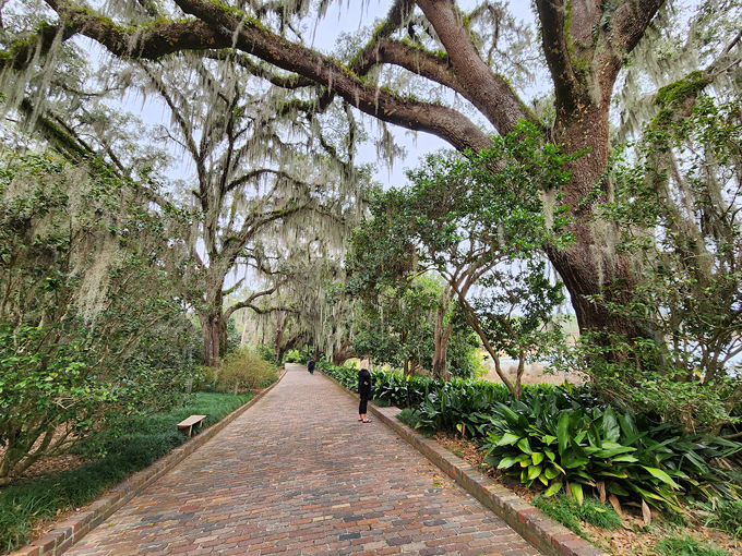 alfred b. maclay gardens state park