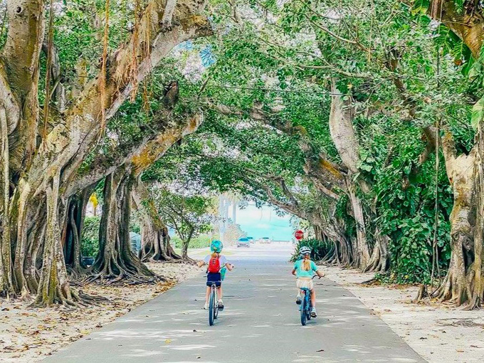 Banyan Street 4