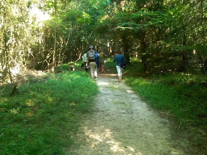 bellamy bridge 9