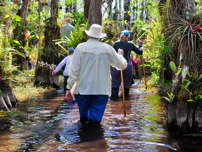 big cypress national preserve 4
