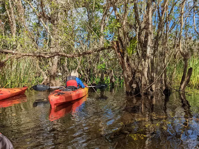 big cypress national preserve 6