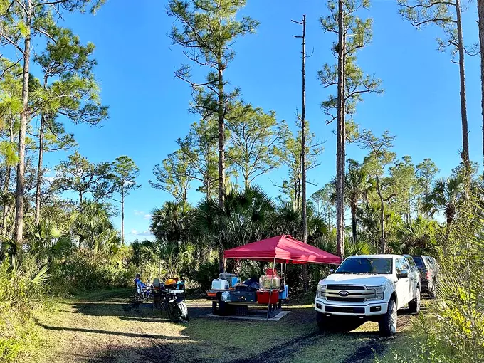 big cypress national preserve 7