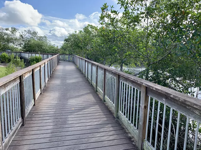big cypress national preserve 8