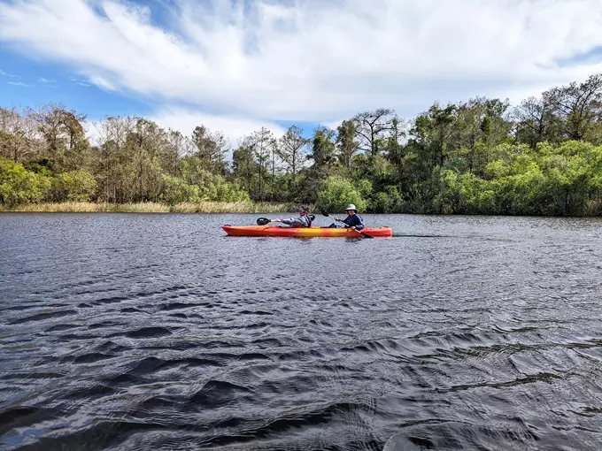 big cypress national preserve 9