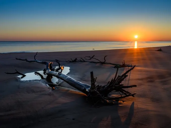 big talbot island boneyard beach 9