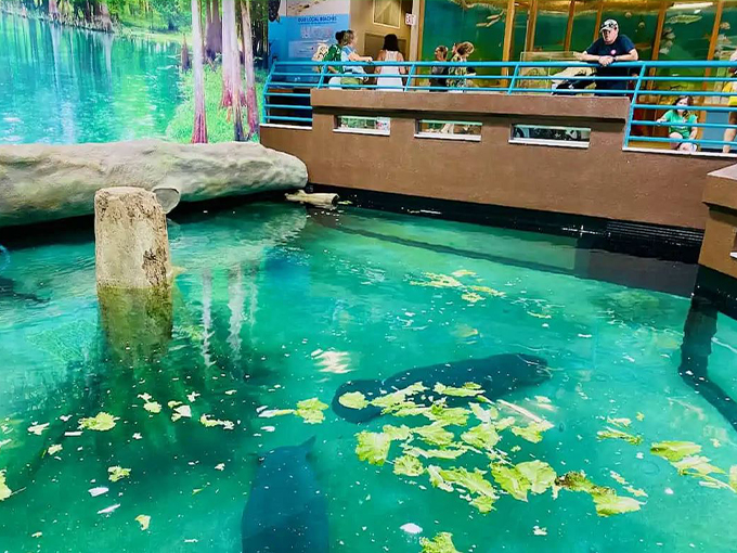bishop planetarium parker manatee aquarium