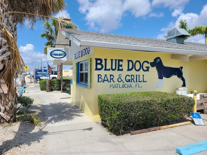 blue dog bar grill 1
