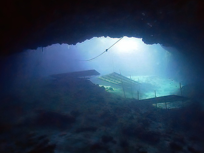 blue grotto dive resort 6