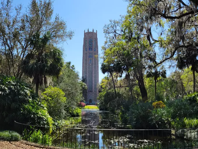 bok tower gardens camellia path 1