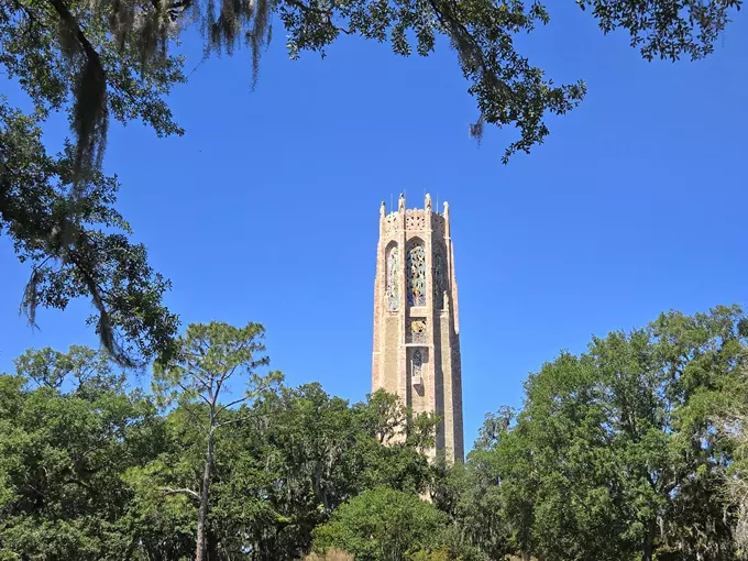 bok tower gardens camellia path 9