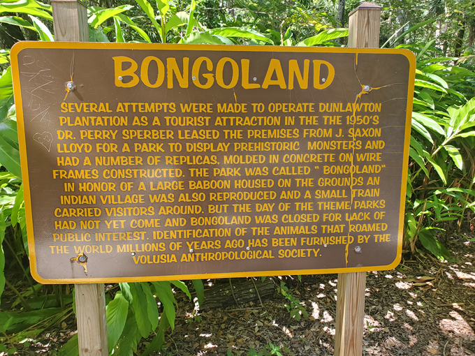 bongoland ruins 9