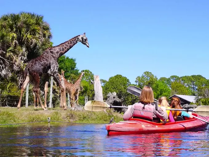 brevard zoo 5