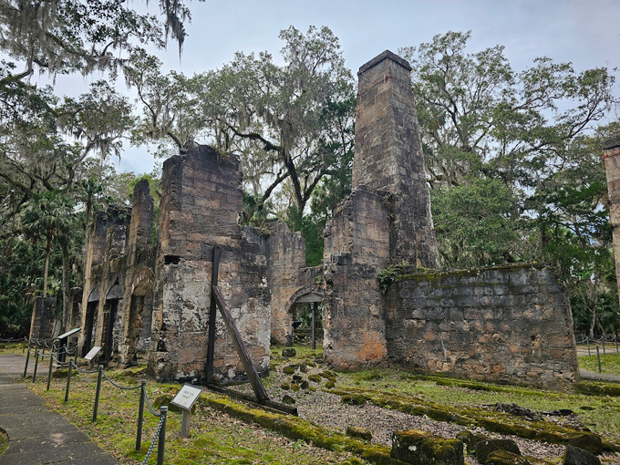 bulow plantation ruins 5
