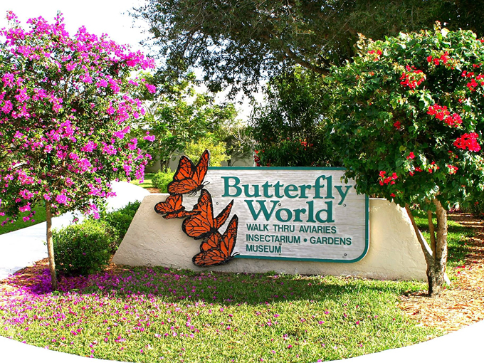 Butterfly World 1