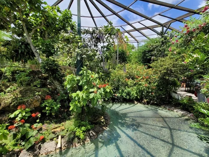 butterfly world 1