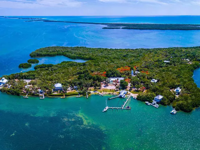 cabbage key 1