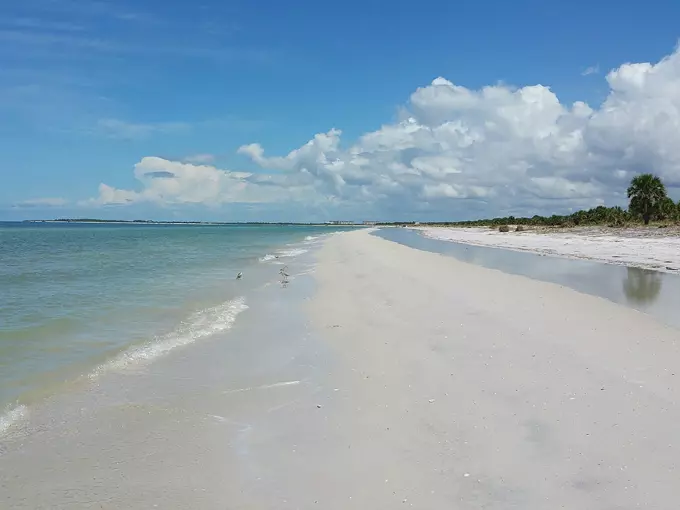 caladesi island state park 4