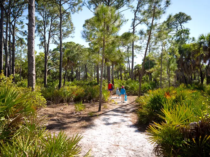 caladesi island state park 7