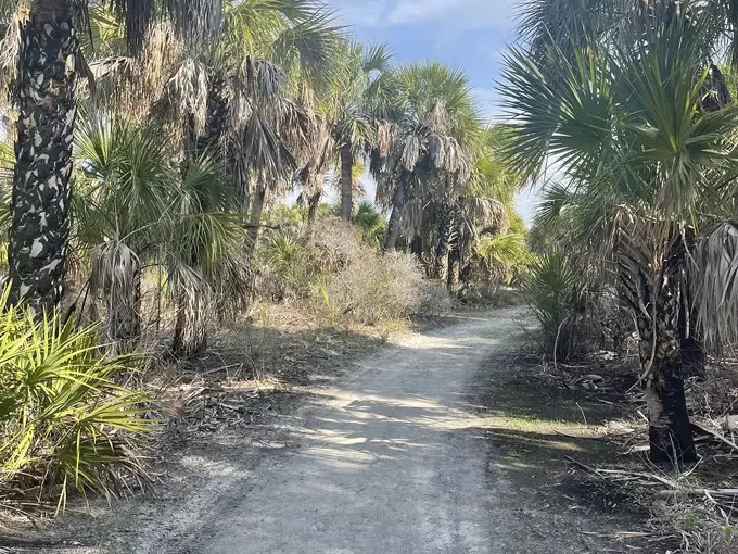 caladesi island trail 2