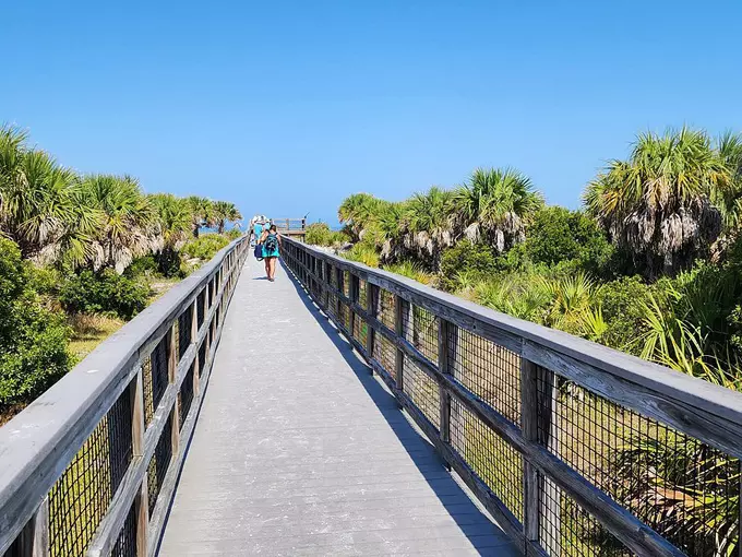 caladesi island trail 4