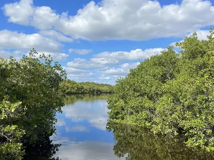 caladesi island trail 5