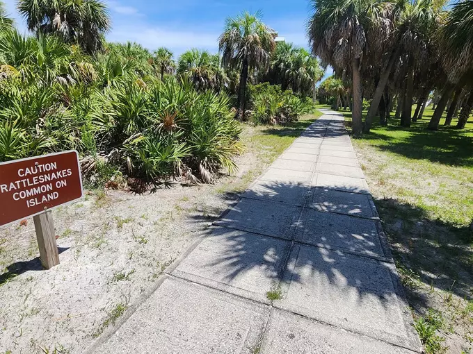 caladesi island trail 6