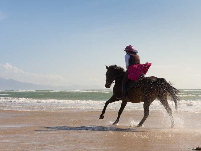 galloping on the beach