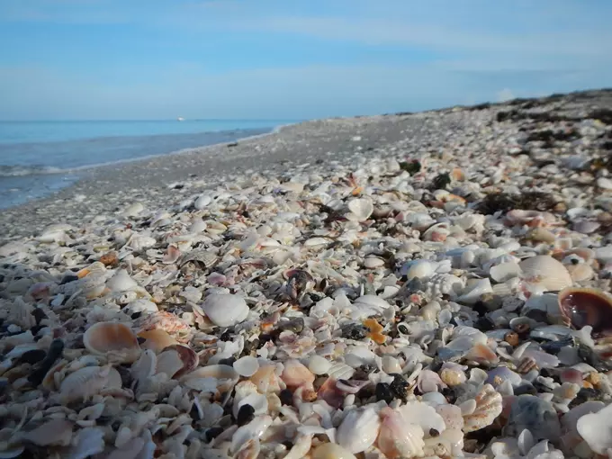 caspersen beach 1