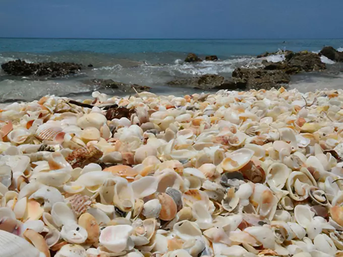 caspersen beach 3