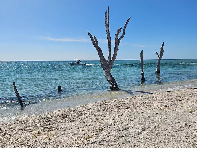 cayo costa state park 2