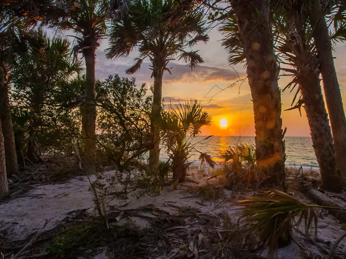 Cayo Costa State Park 9