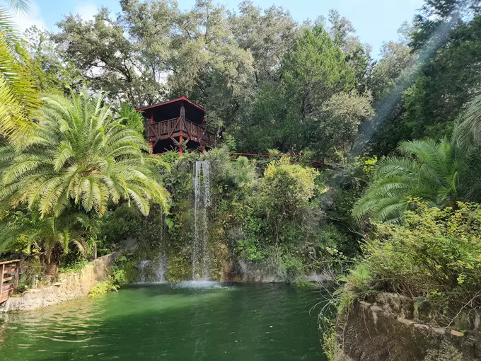 cedar lakes woods 2