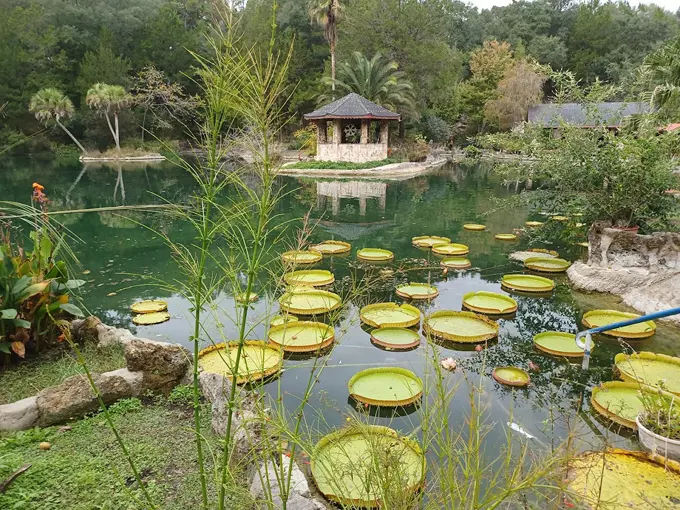 cedar lakes woods 3