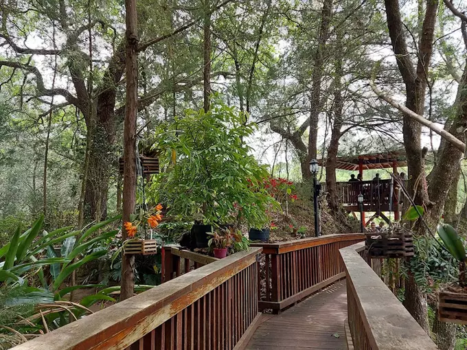 cedar lakes woods 4