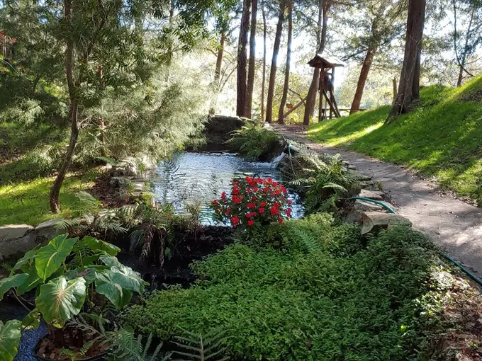 cedar lakes woods 6