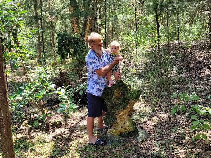 cedar lakes woods 8