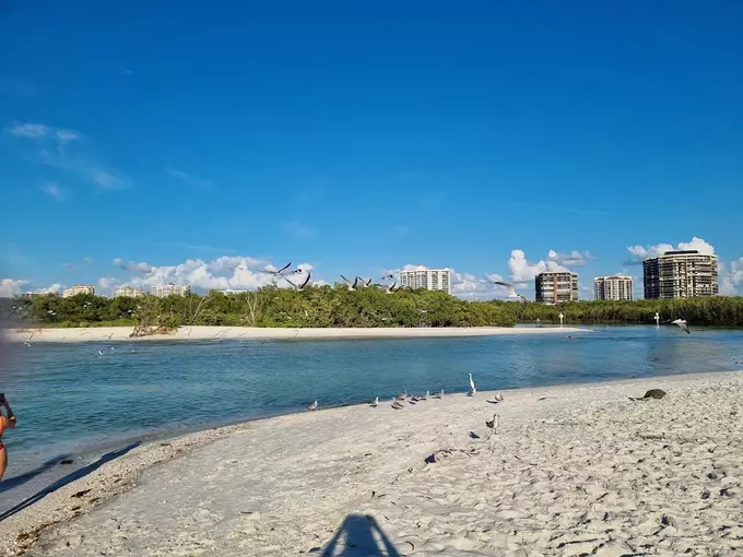 clam pass beach park 2