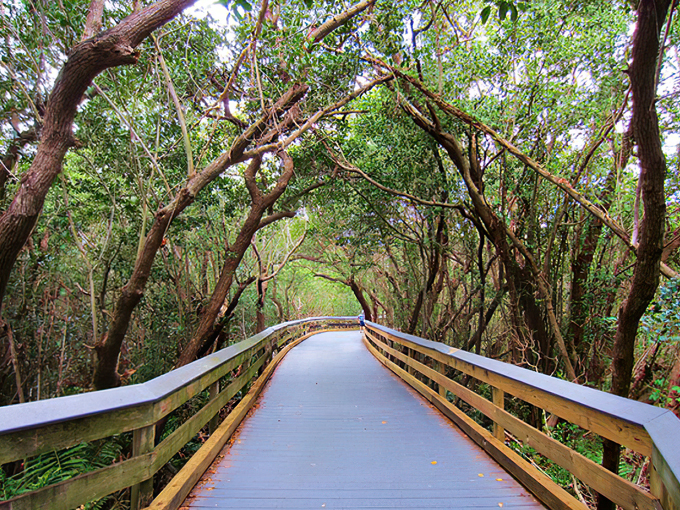 clam pass beach park 5