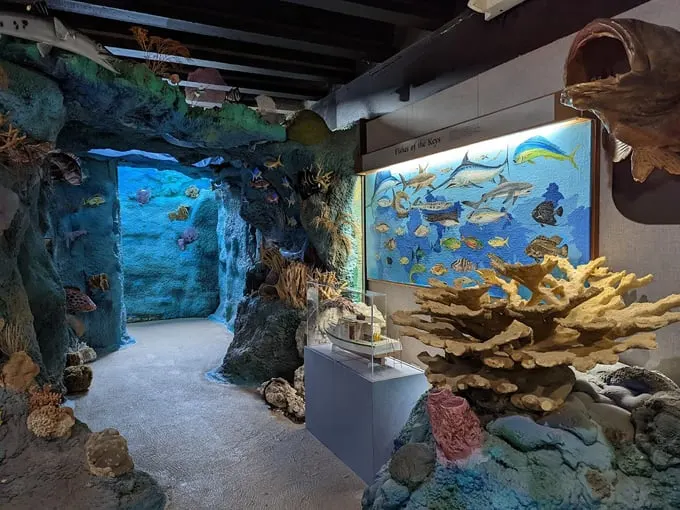crane point museum and nature center 2