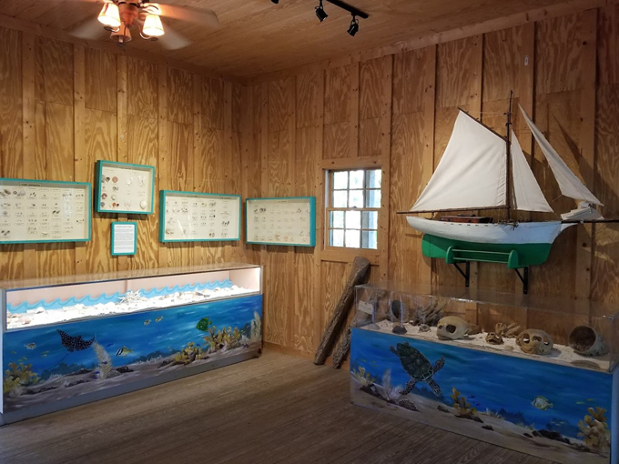 crane point museum and nature center 3
