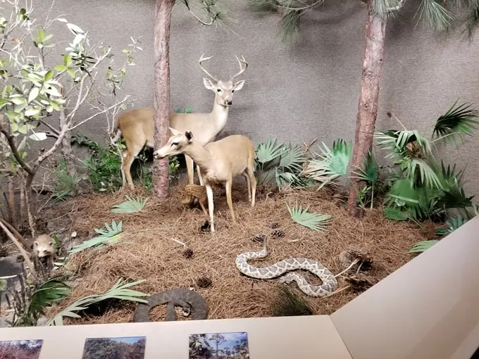 crane point museum and nature center 5