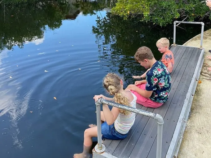crane point museum and nature center 7